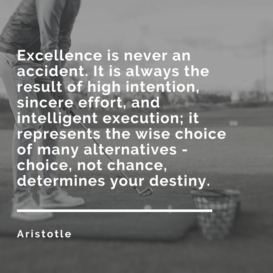 Striving For Excellence Quotes